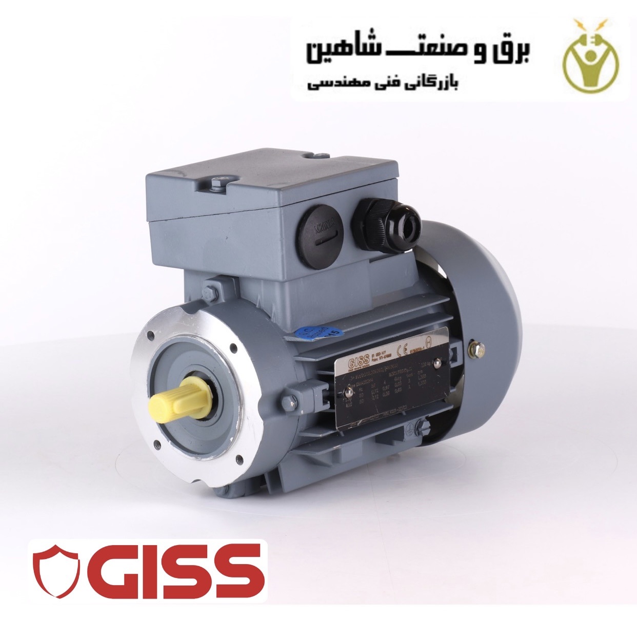 قیمت و خرید موتور خطی Giss مدل DMA263K4-B14 گیس - برق و صنعت شاهین